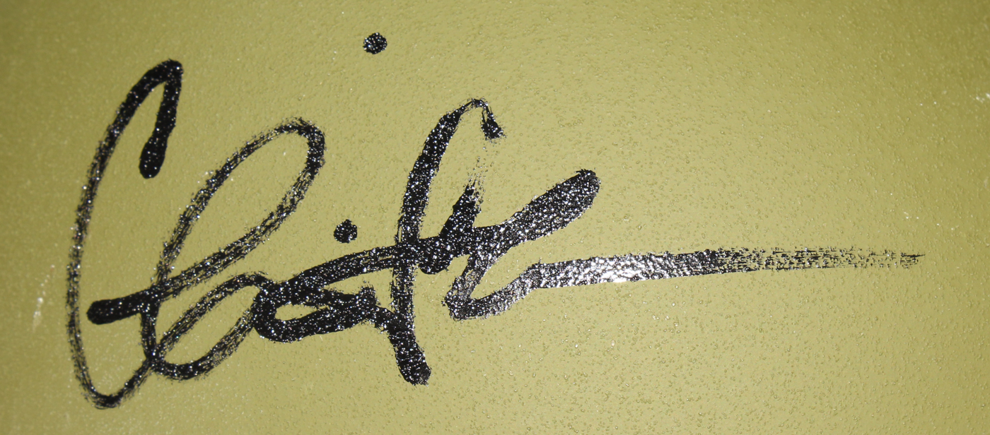 Charlie Sheen Signed "Platoon" Authentic Vietnam Era Army Helmet (PSA ...