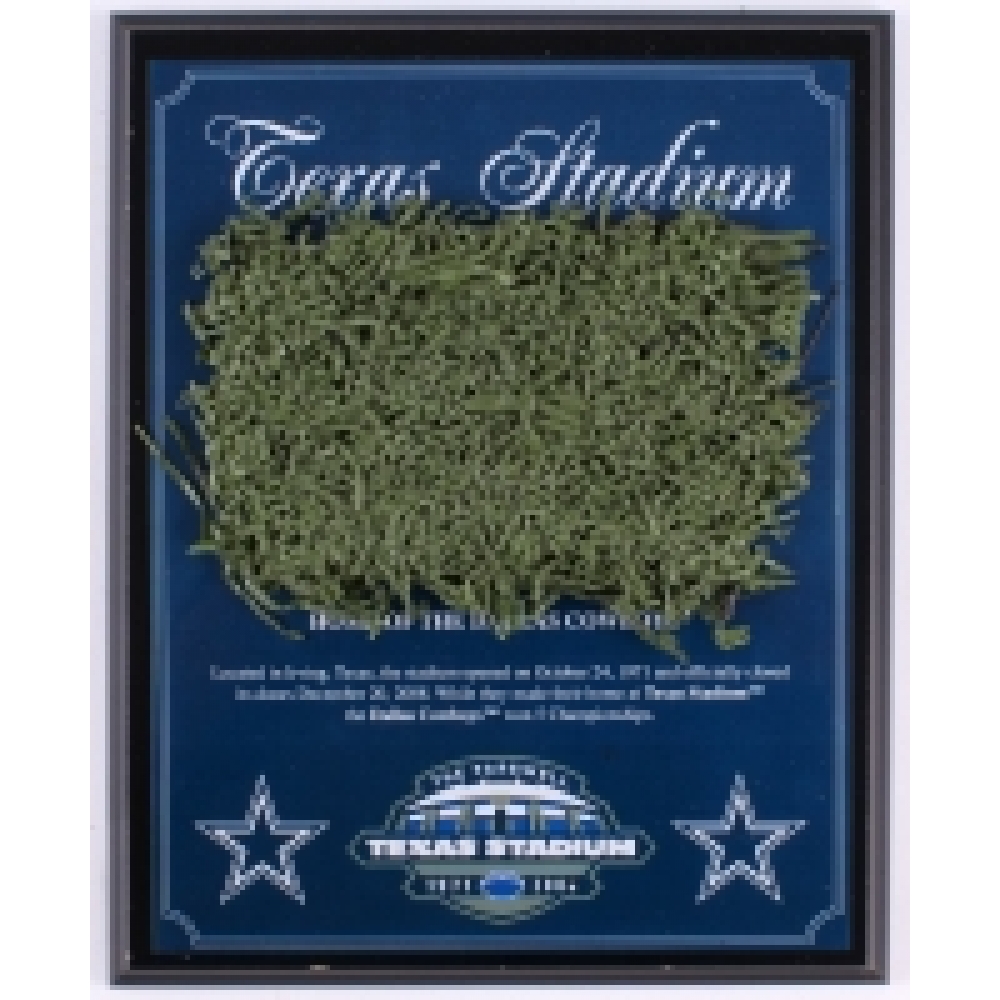 Dallas Cowboys Texas Stadium Final Season 8x10 Plaque with Game-Used ...