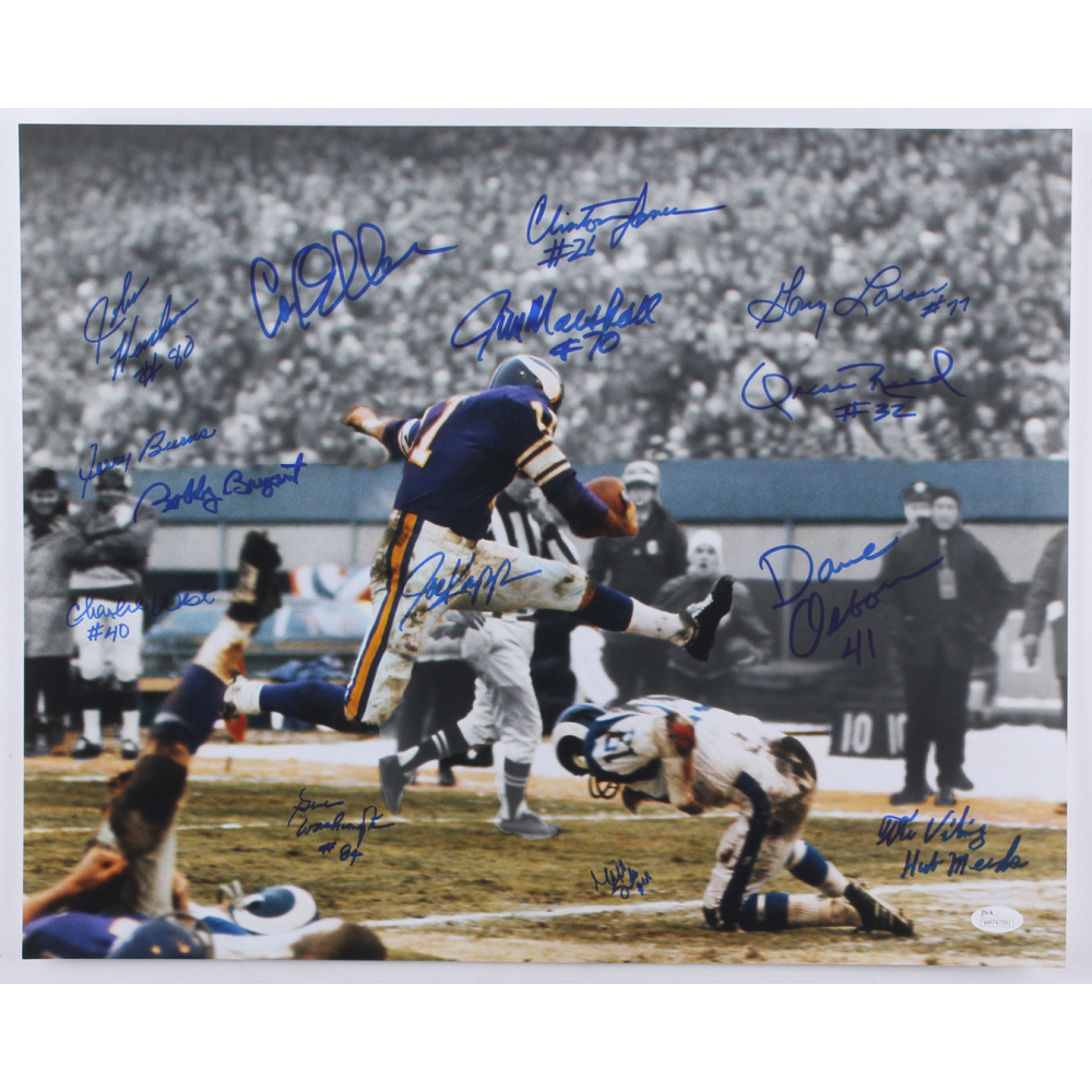 Vikings "Purple People Eaters" 16x20 Photo Signed by (14) with Joe Kapp ...