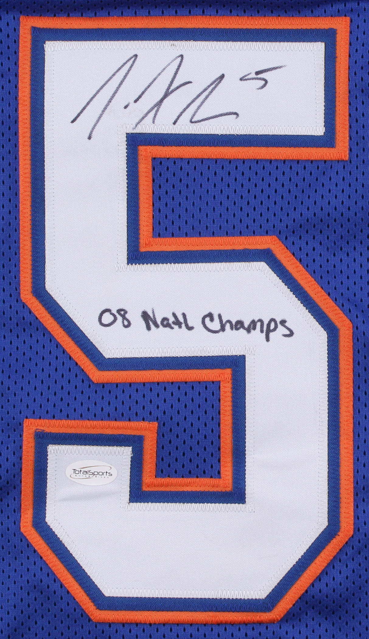 Joe Haden Signed Florida Gators Jersey Inscribed "08 Natl Champs" (TSE ...