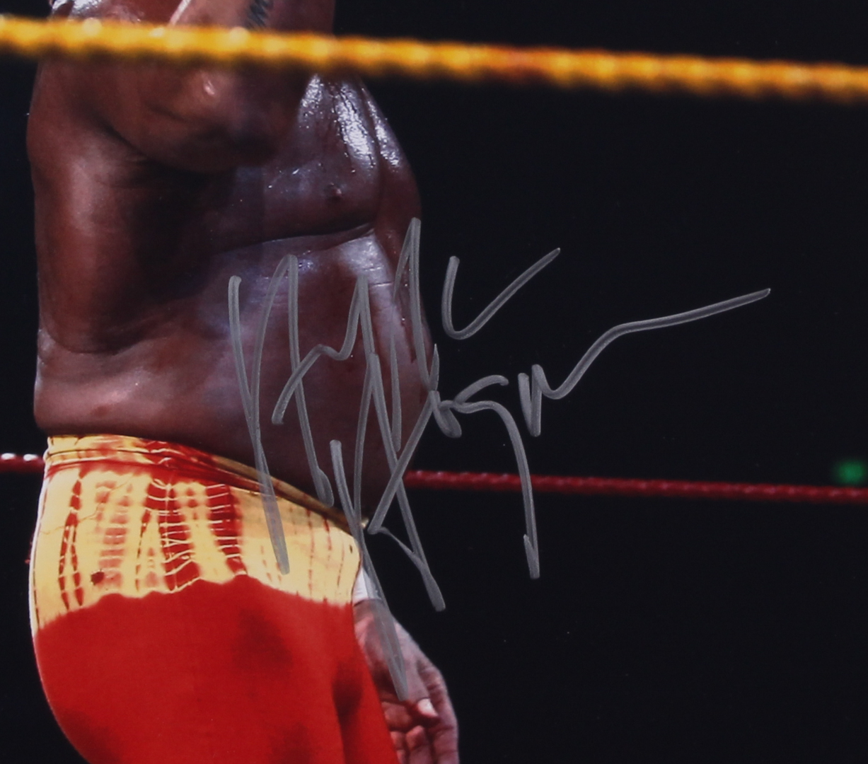 Hulk Hogan Signed WWE 16x20 Photo (JSA Hologram) | Pristine Auction