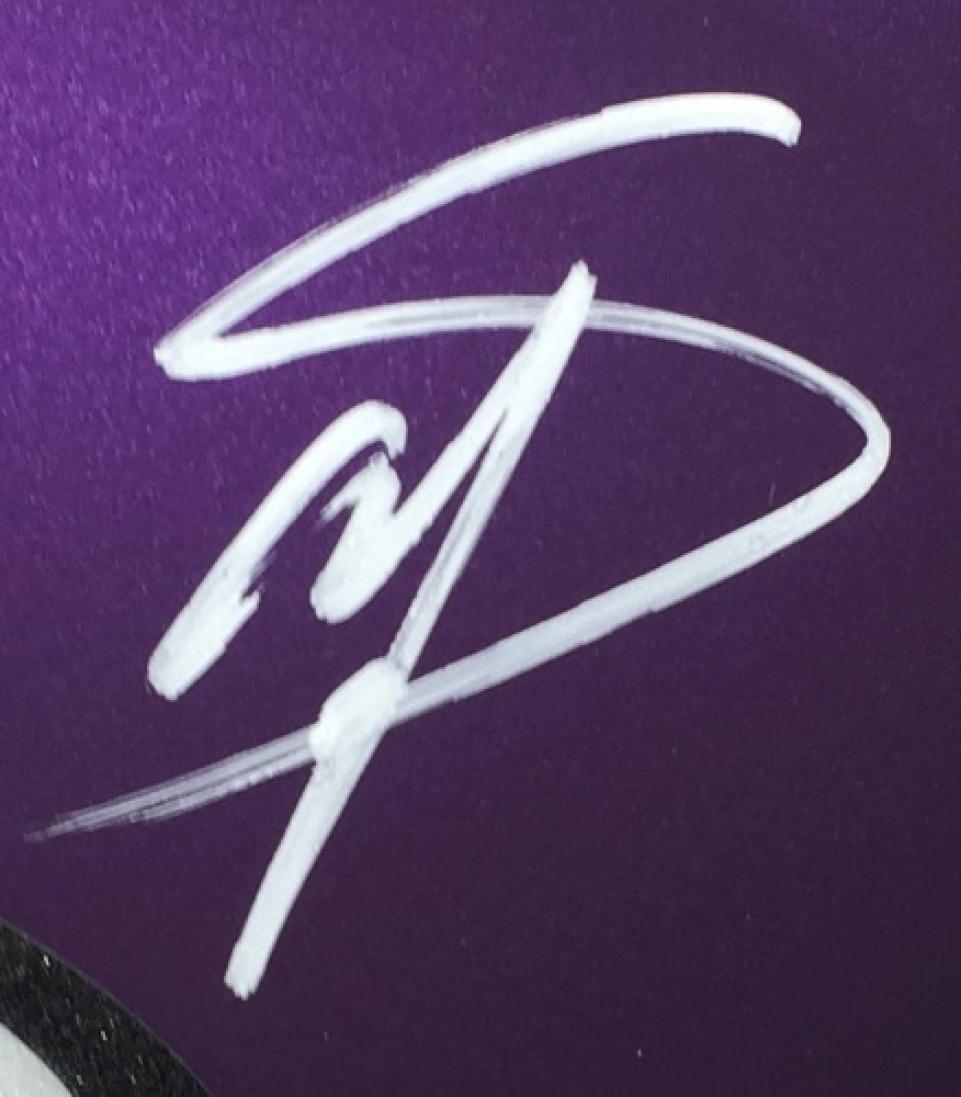 Adam Thielen & Stefon Diggs Signed Vikings Full-Size Matte Purple Speed ...