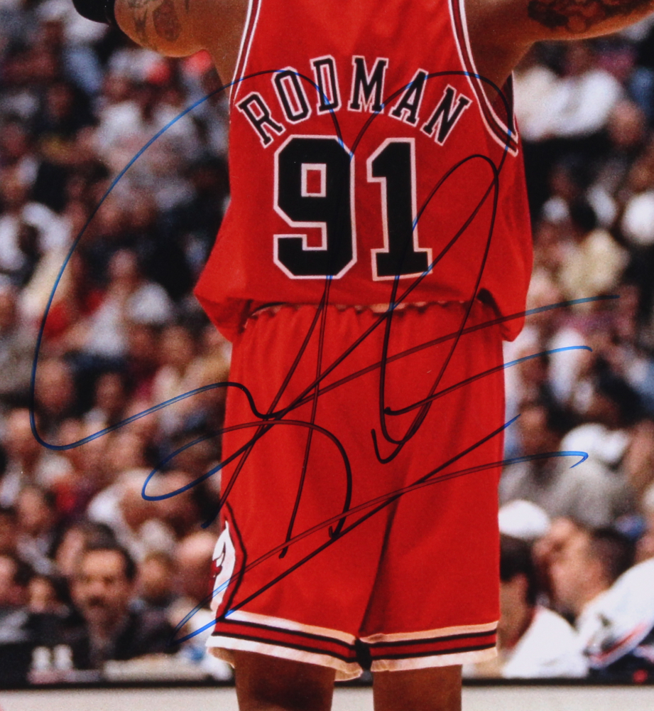 Dennis Rodman Signed Bulls 16x20 Photo (Mead Chasky Hologram ...
