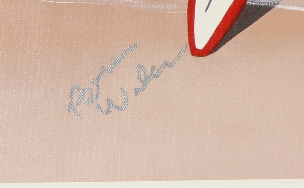 Dan Mackin – “The Beach Boys” Brian Wilson "Surfin' USA" Signed Limited ...