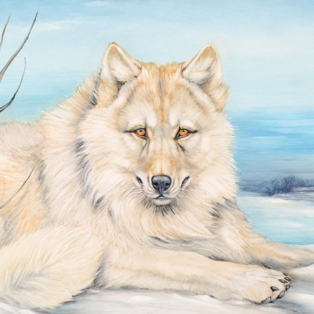 Martin Katon Signed "White Wolf Winter" 36x24 Original Oil Painting on ...