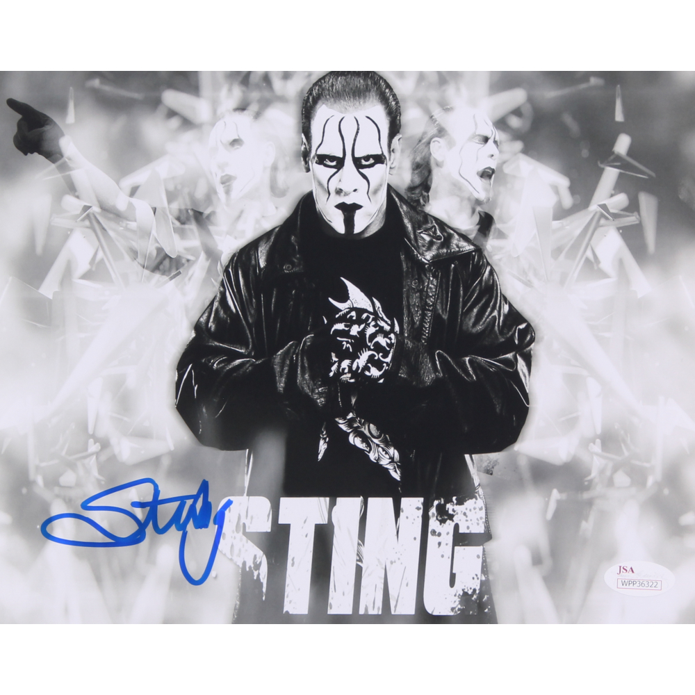Steve "Sting" Borden Signed 8x10 Photo (JSA COA) | Pristine Auction
