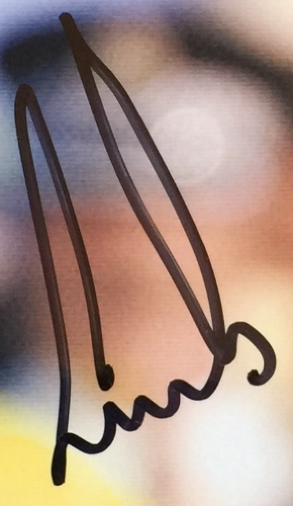 Ernie Els Signed 8x10 Photo (Fanatics) | Pristine Auction