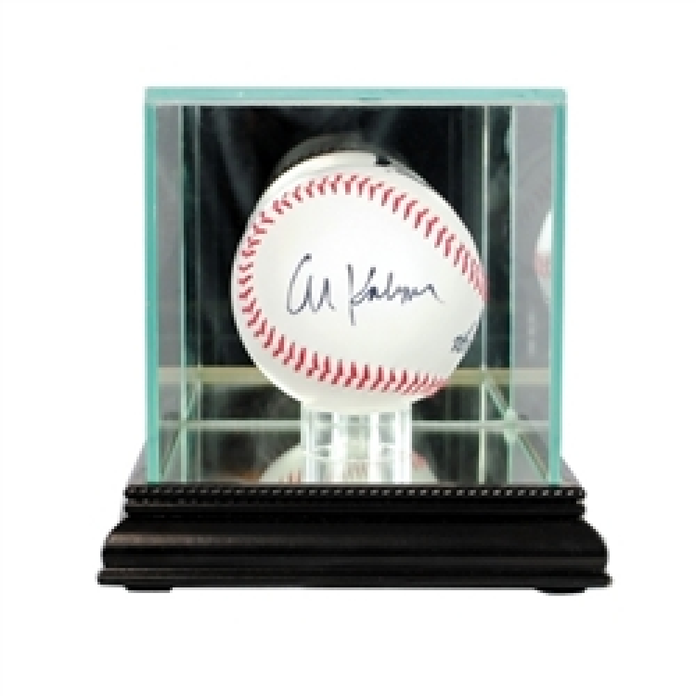 Premium Single Baseball Glass Display Case with Mirrored Black Wood ...